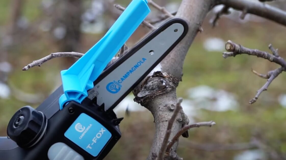 Odmiany podatne na zgorzel kory i raka drzew owocowych. - Kobieta w sadzie