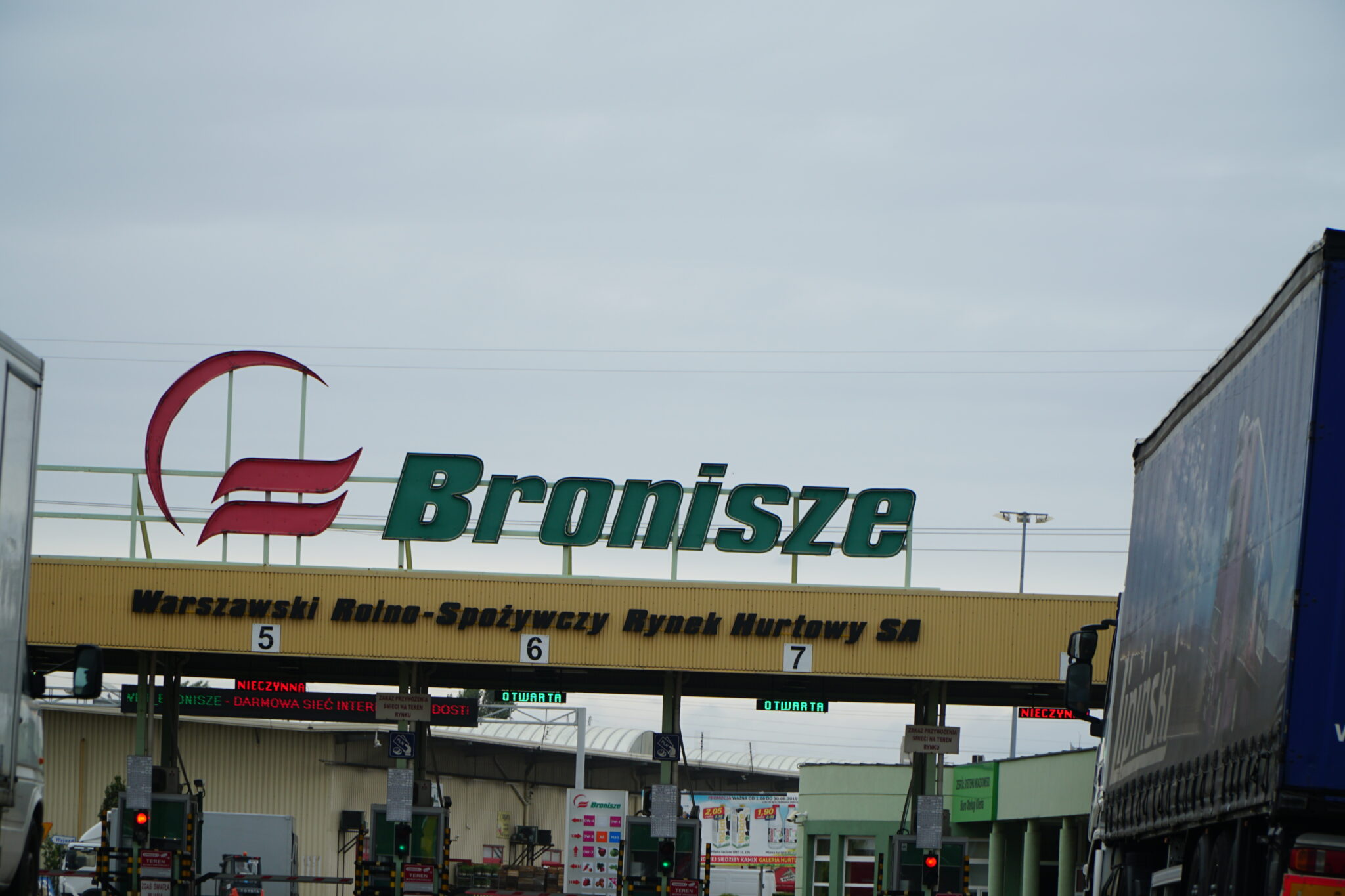 Borówki na rynku hurtowym Bronisze – 24 czerwca 2025. Jakie ceny na ...