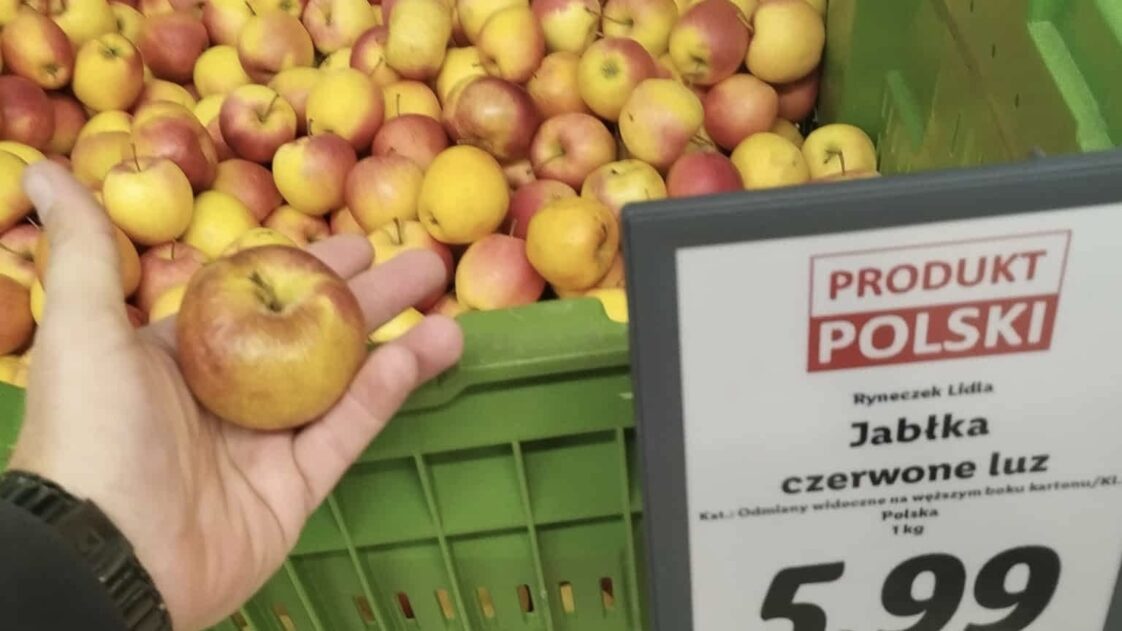 Najlepsze odmiany jabłek: lobo, szampion i więcej